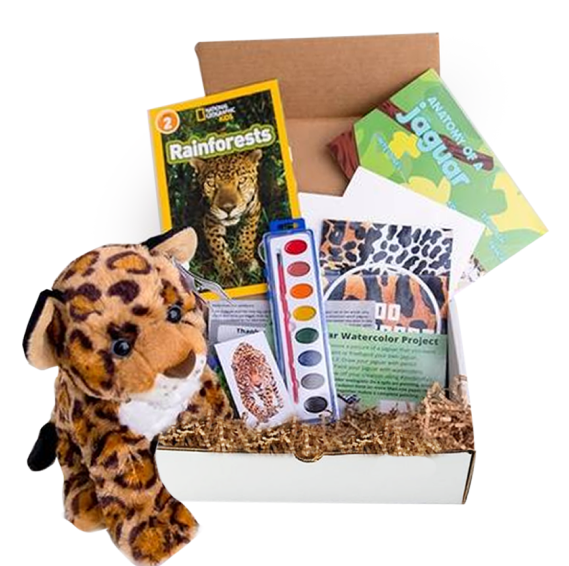 Kids’ Zoology Subscription Boxes | My ZOO Box