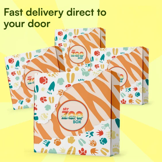 Kids’ Zoology Club Boxes | My ZOO Box