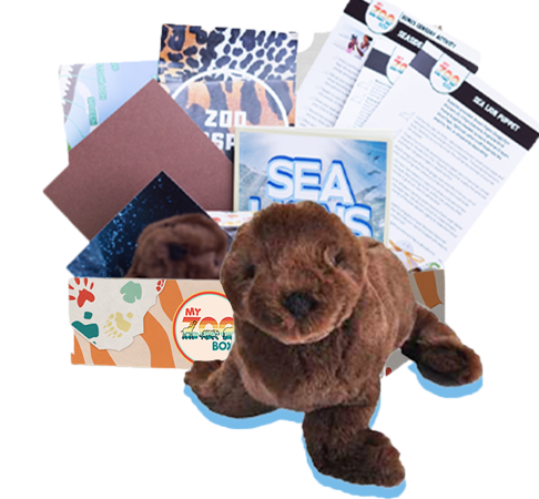 Kids’ Zoology Subscription Boxes | My ZOO Box