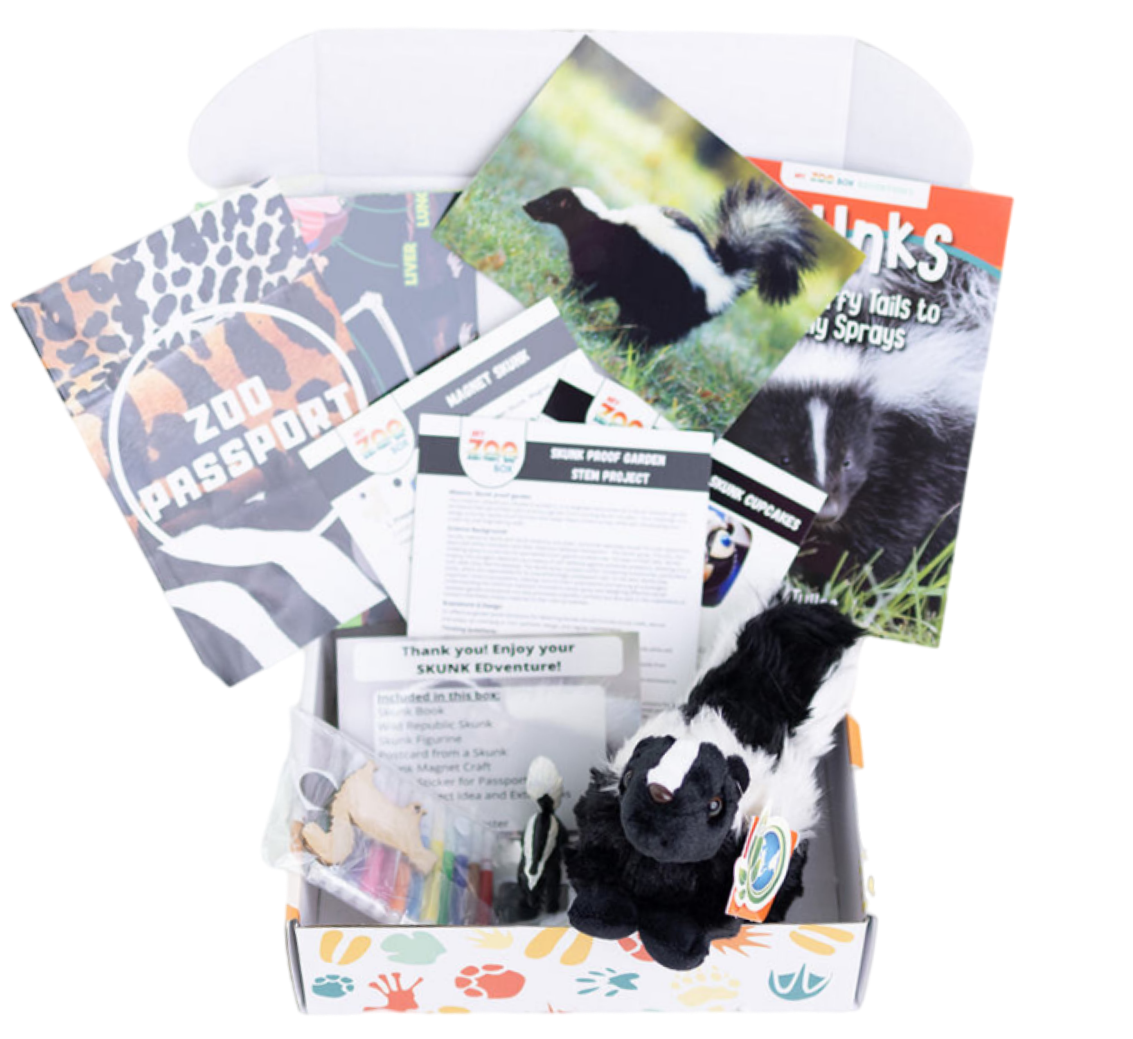 Kids’ Zoology Club Boxes | My ZOO Box