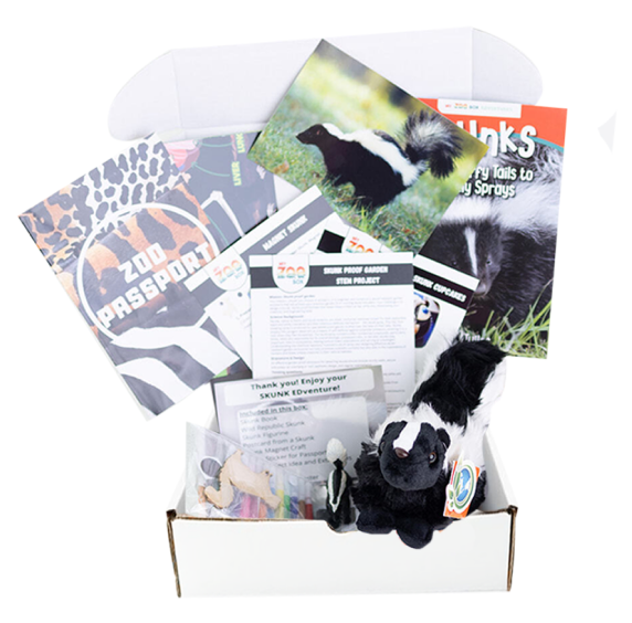 Kids’ Zoology Subscription Boxes | My ZOO Box