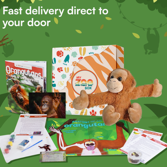 Kids’ Zoology Club Boxes | My ZOO Box