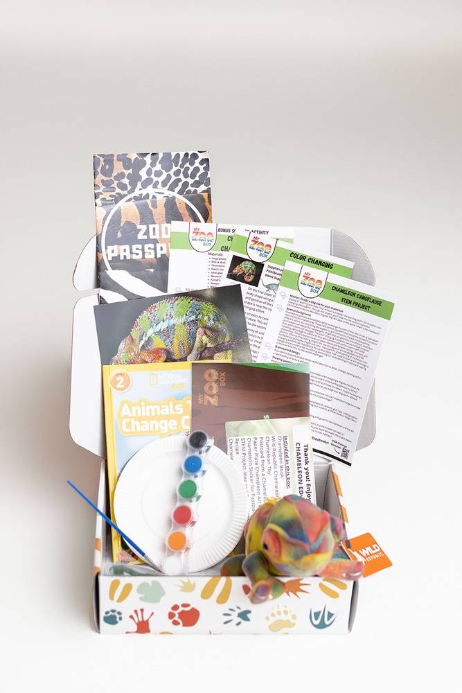Kids’ Zoology Club Boxes | My ZOO Box