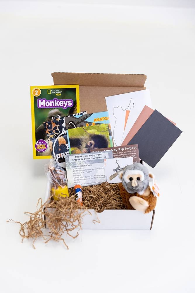 Kids’ Zoology Club Boxes | My ZOO Box