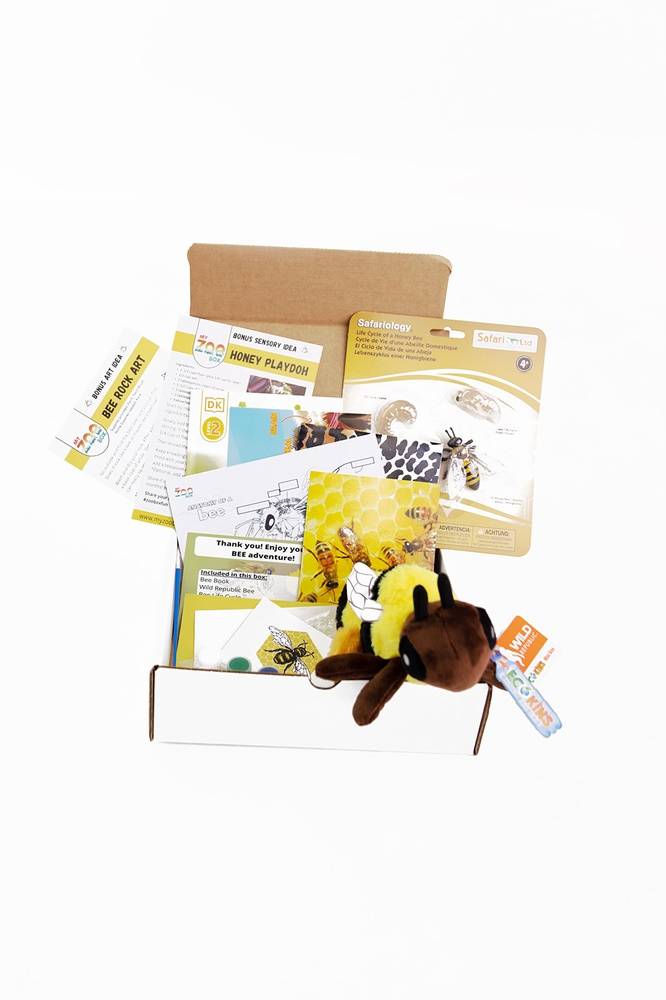 Kids’ Zoology Club Boxes | My ZOO Box