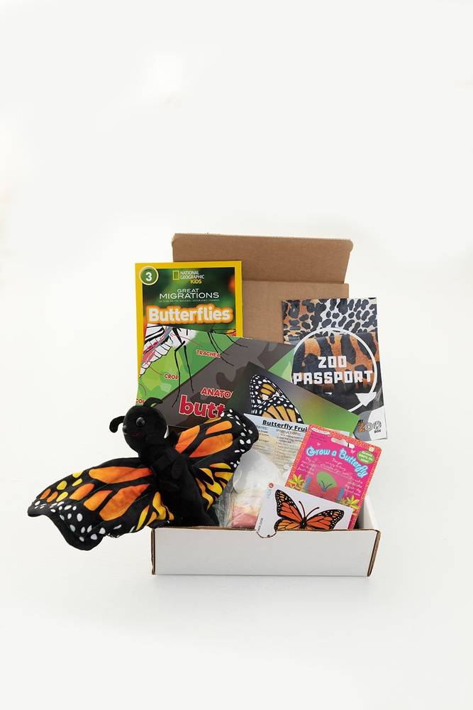 Kids’ Zoology Club Boxes | My ZOO Box