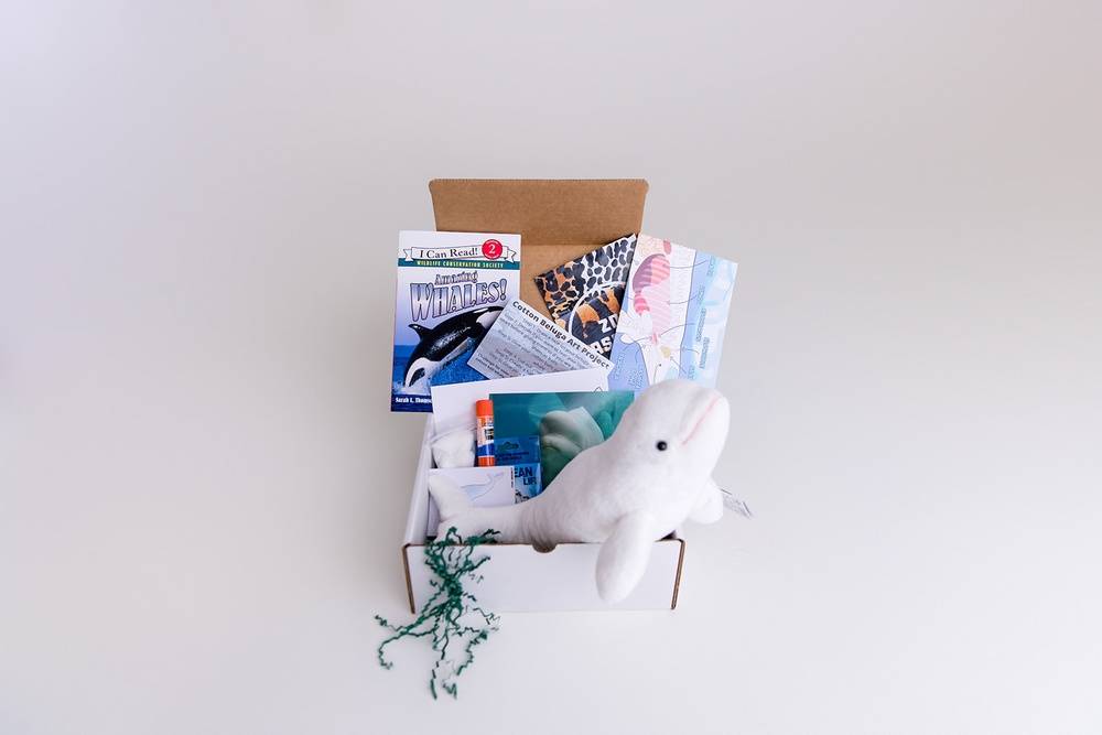 Kids’ Zoology Club Boxes | My ZOO Box