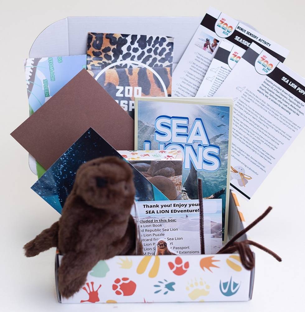 Kids’ Zoology Subscription Boxes | My ZOO Box