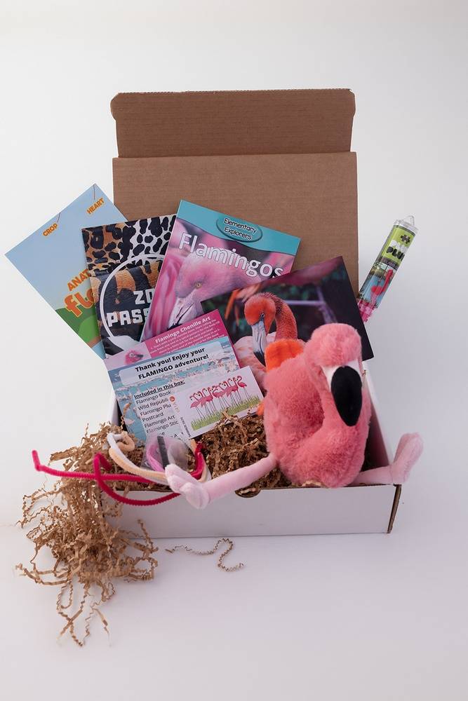 Kids’ Zoology Club Boxes | My ZOO Box