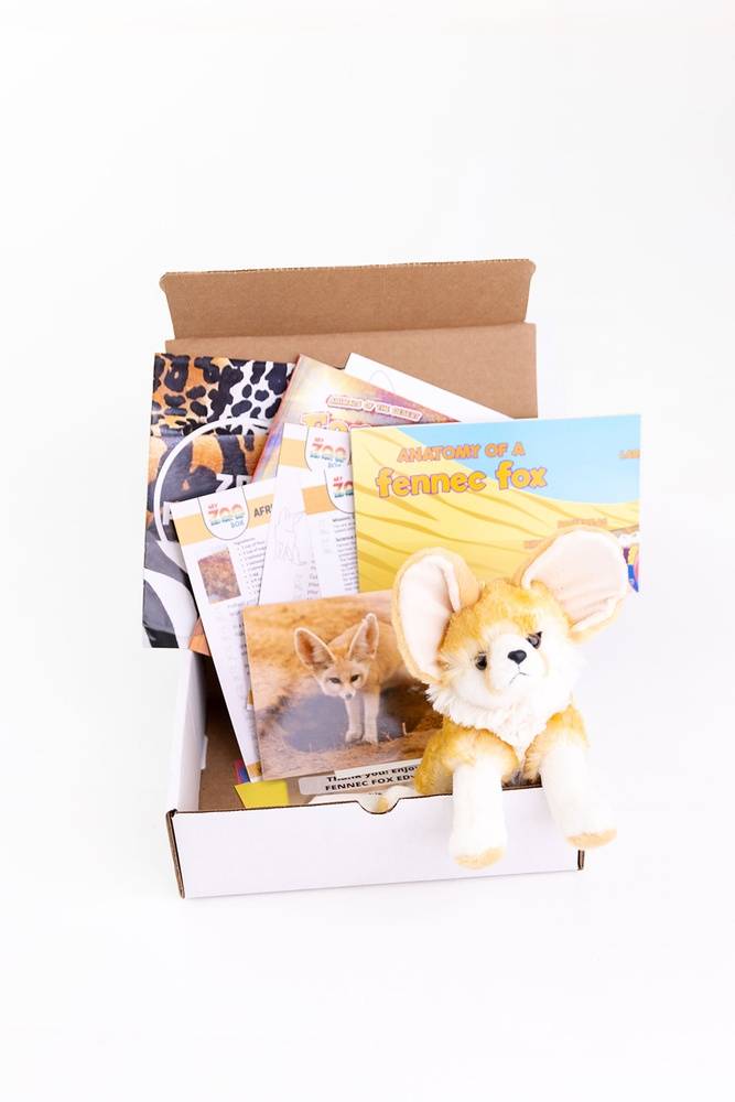 Kids’ Zoology Subscription Boxes | My ZOO Box