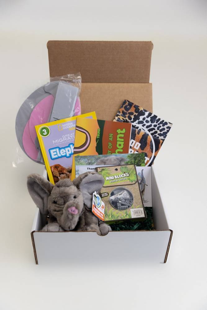 Kids’ Zoology Club Boxes | My ZOO Box