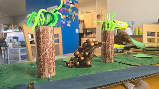 Kids’ Zoology Club Boxes | My ZOO Box