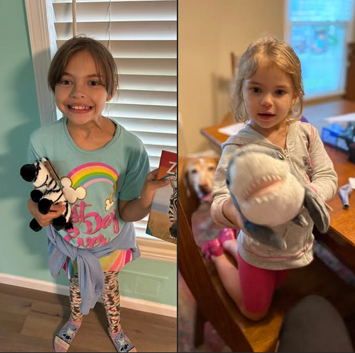 Kids’ Zoology Club Boxes | My ZOO Box