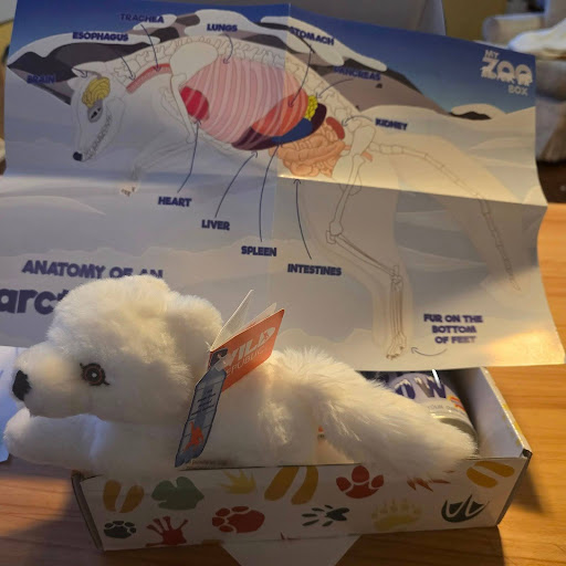 Kids’ Zoology Club Boxes | My ZOO Box