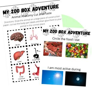 Kids’ Zoology Club Boxes | My ZOO Box
