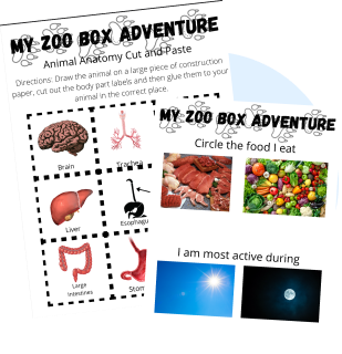Kids’ Zoology Subscription Boxes | My ZOO Box